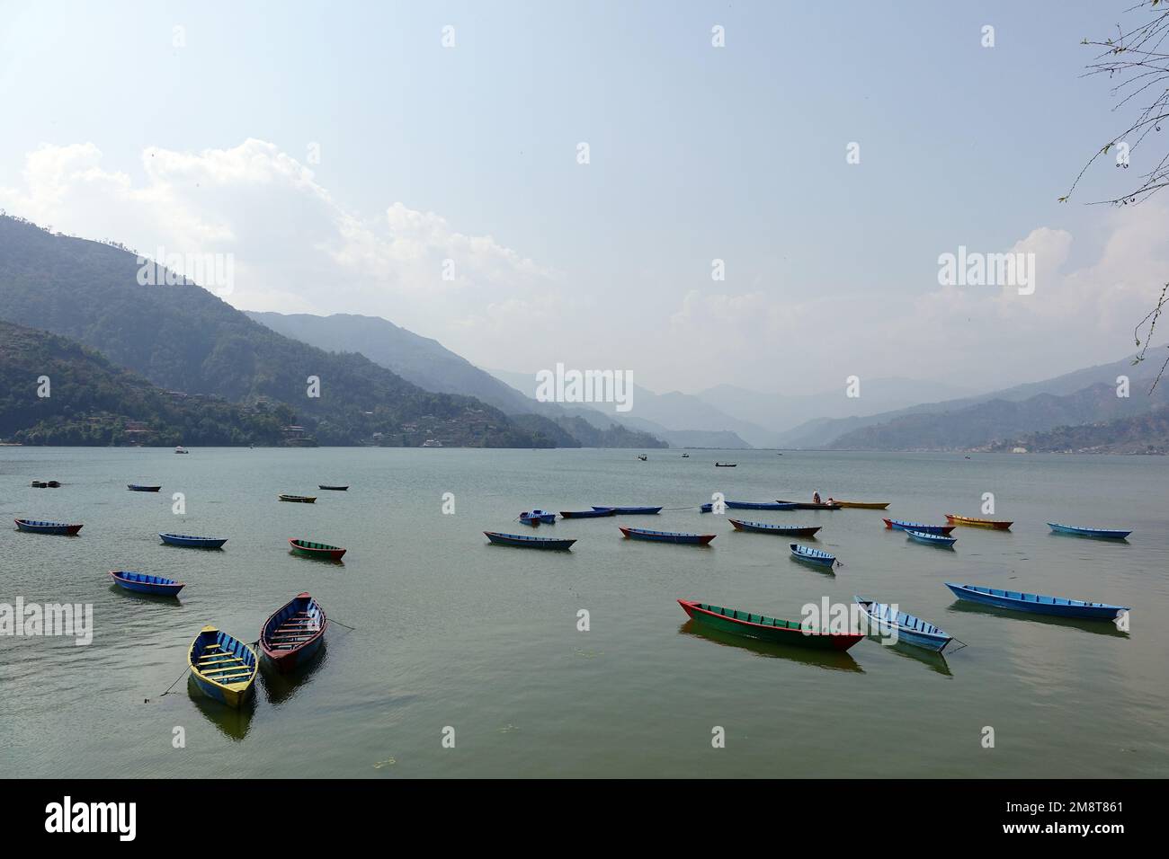 colorful boats, Phewa Lake, Phewa Tal or Fewa Lake, Pokhara, Gandaki ...