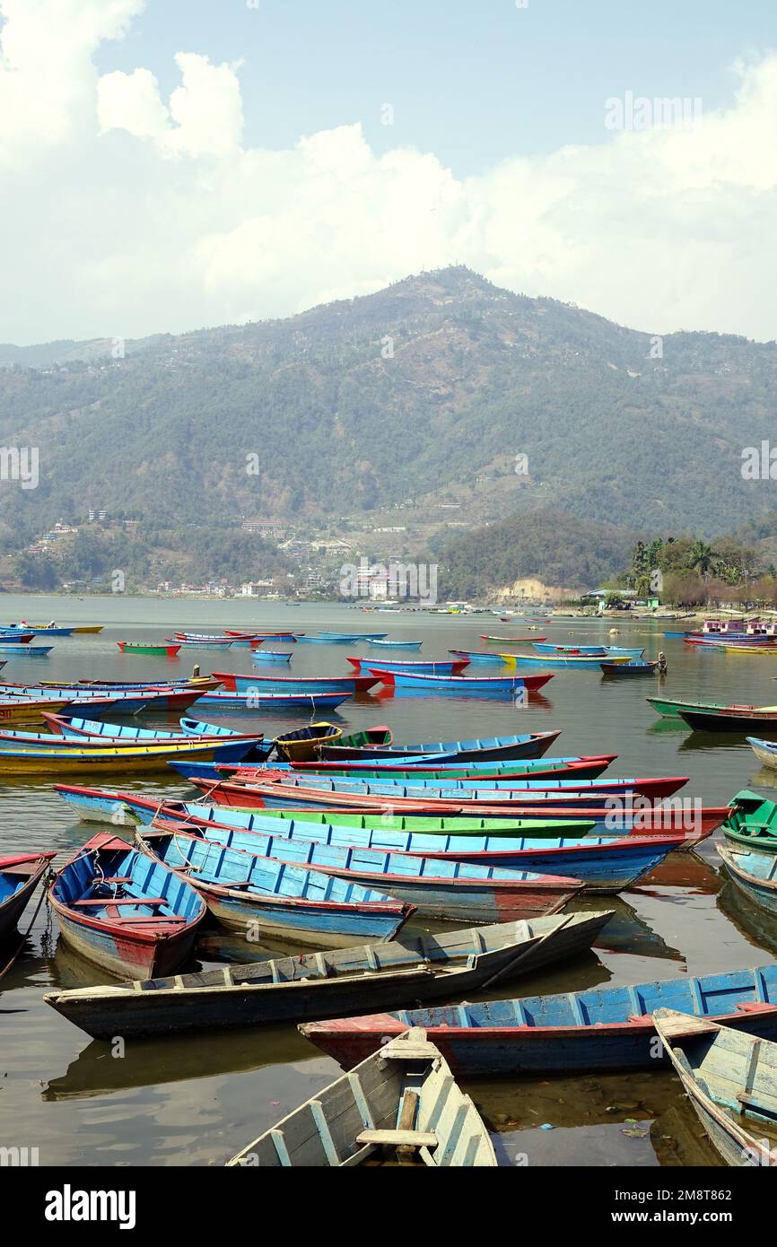 colorful boats, Phewa Lake, Phewa Tal or Fewa Lake, Pokhara, Gandaki ...
