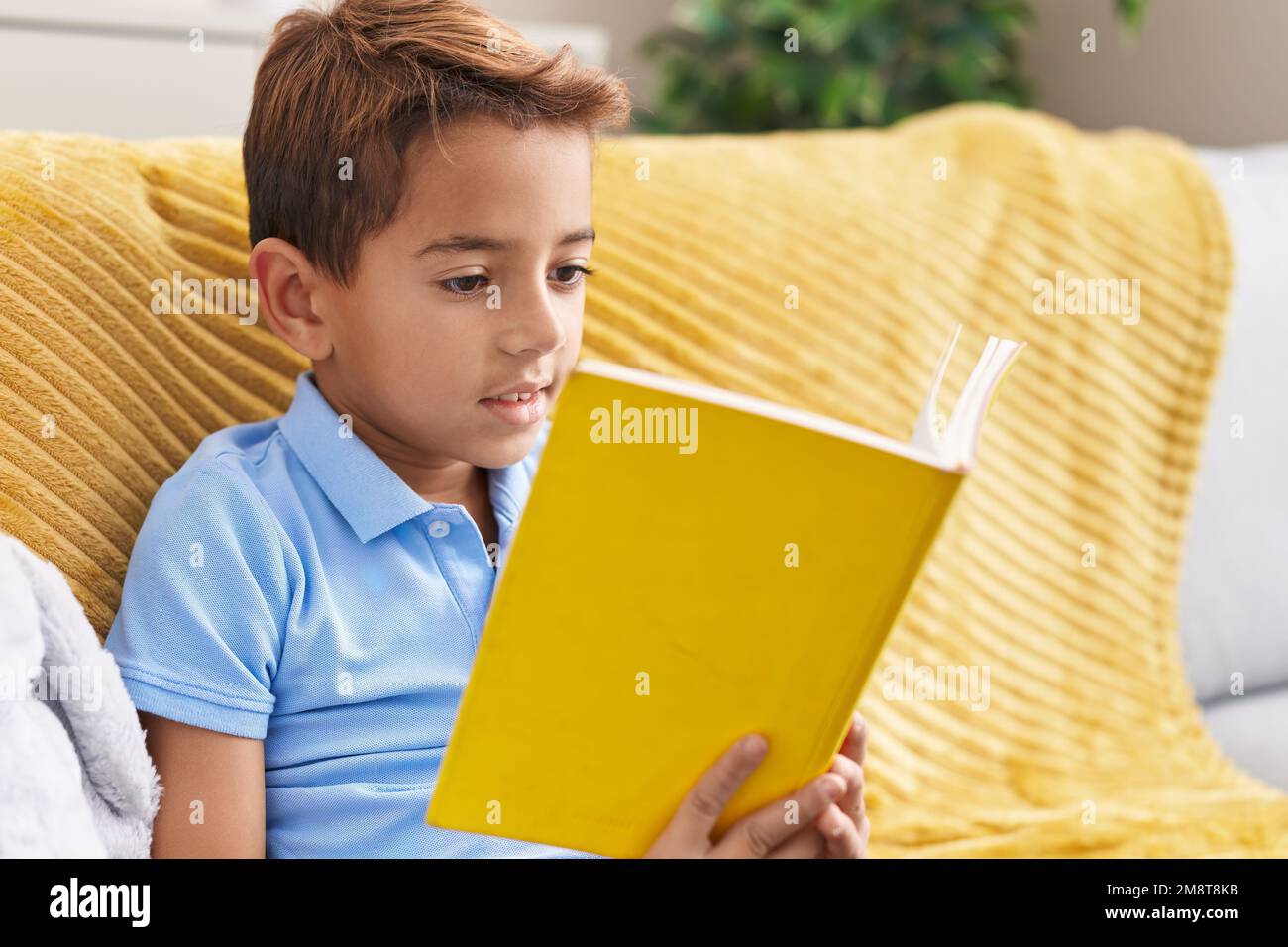 Adorable hispanic boy reading book sitting on sofa at home Stock Photo ...