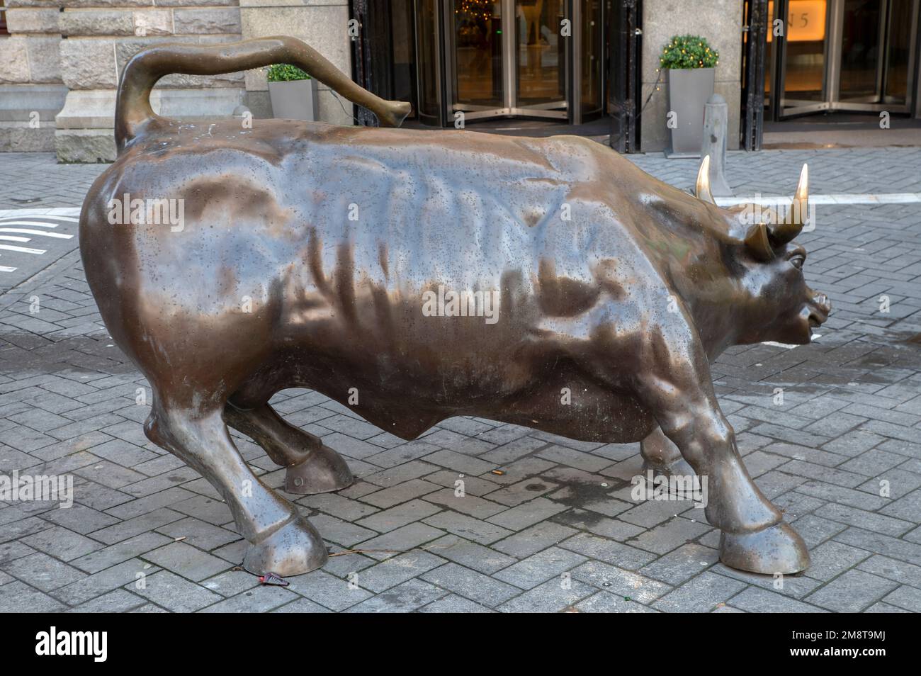 Statue Stier At Amsterdam The Netherlands 2-1-2023 Stock Photo - Alamy