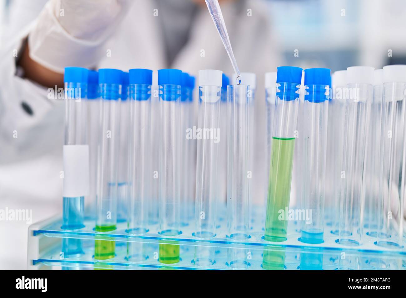 Young middle east woman scientist pouring liquid on test tubes at ...