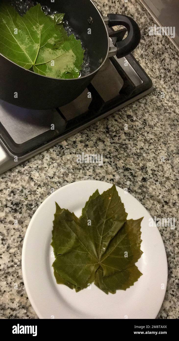 cookin an armenian traditional food. Warak Dawali Stock Photo - Alamy