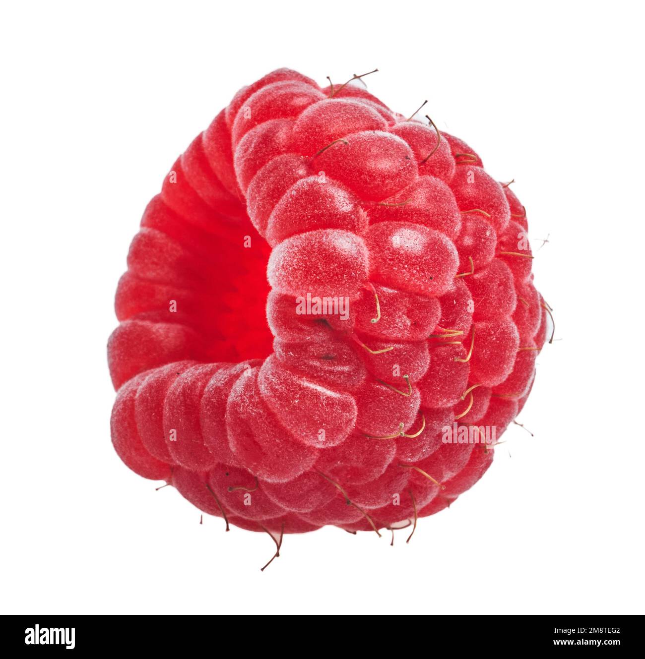 Delicious single raspberry over isolated white background Stock Photo ...