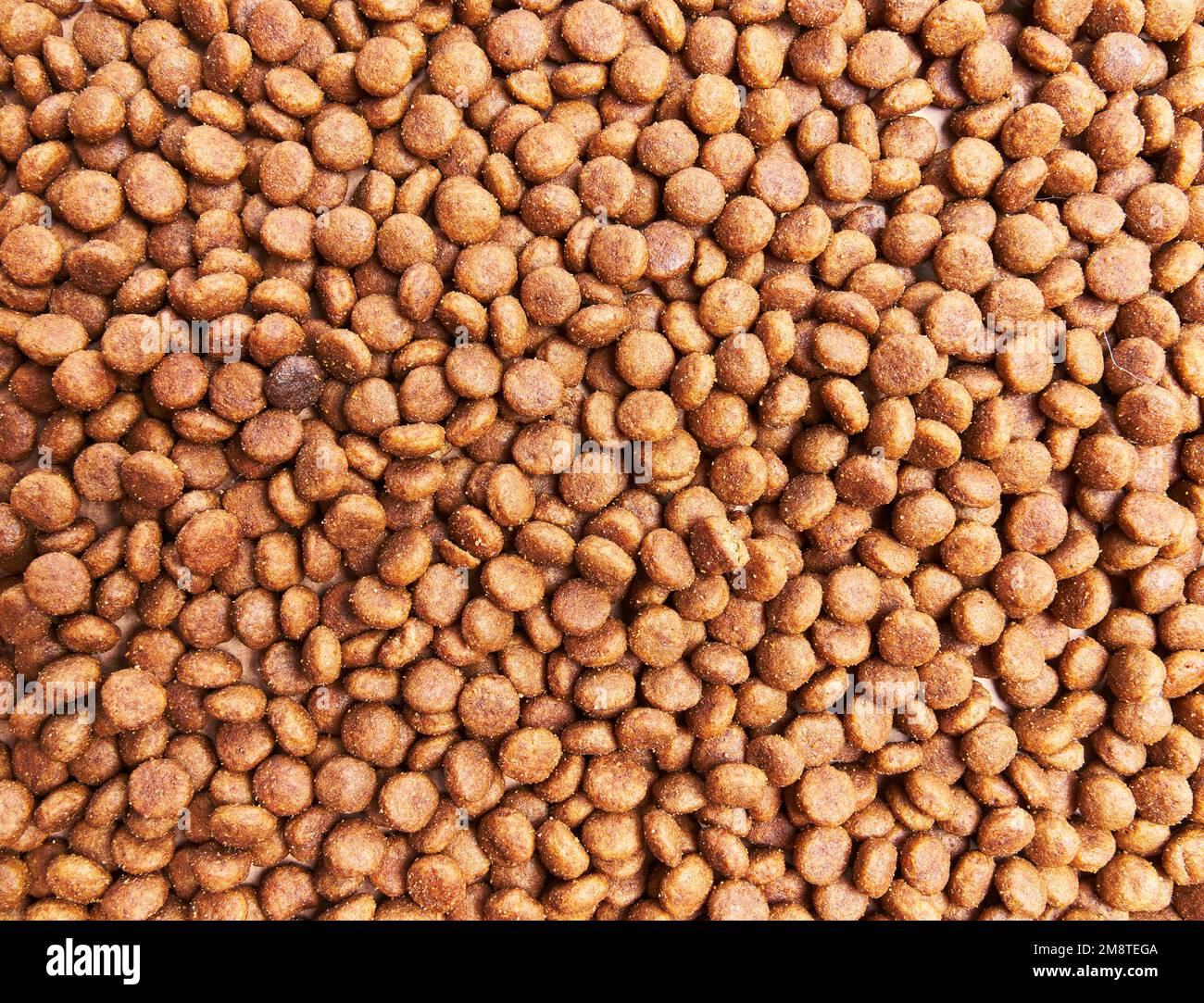 Delicious group of dog food balls texture Stock Photo - Alamy
