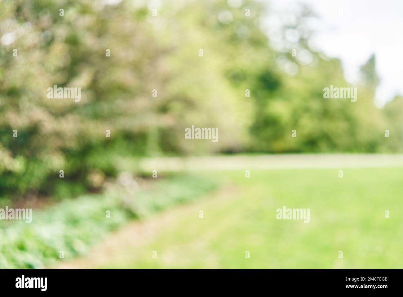 Blurred background of park Stock Photo - Alamy