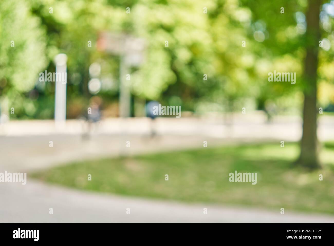 Blurred background of park Stock Photo - Alamy