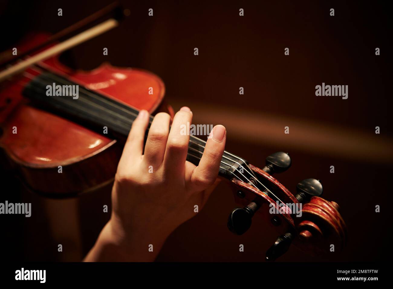 Violinist player hi-res stock photography and images - Alamy