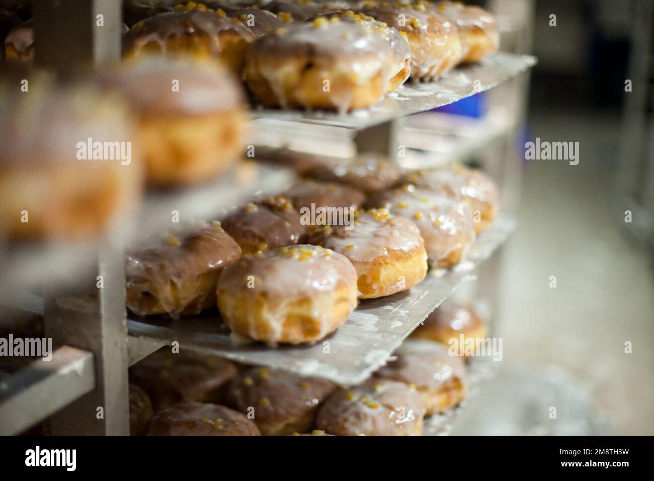 Baking donuts in a pastry shop. Traditional Polish Fat Thursday. donut ...