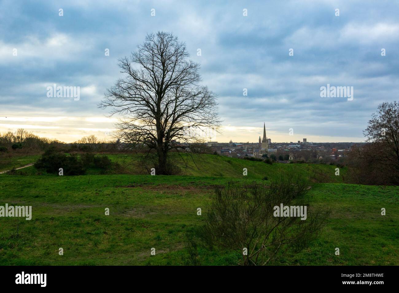Mousehold Heath, Noriwch Stock Photo - Alamy