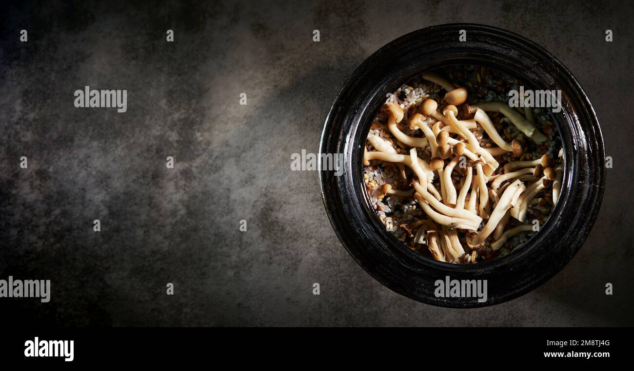Nutrition stone pot rice hi-res stock photography and images - Alamy