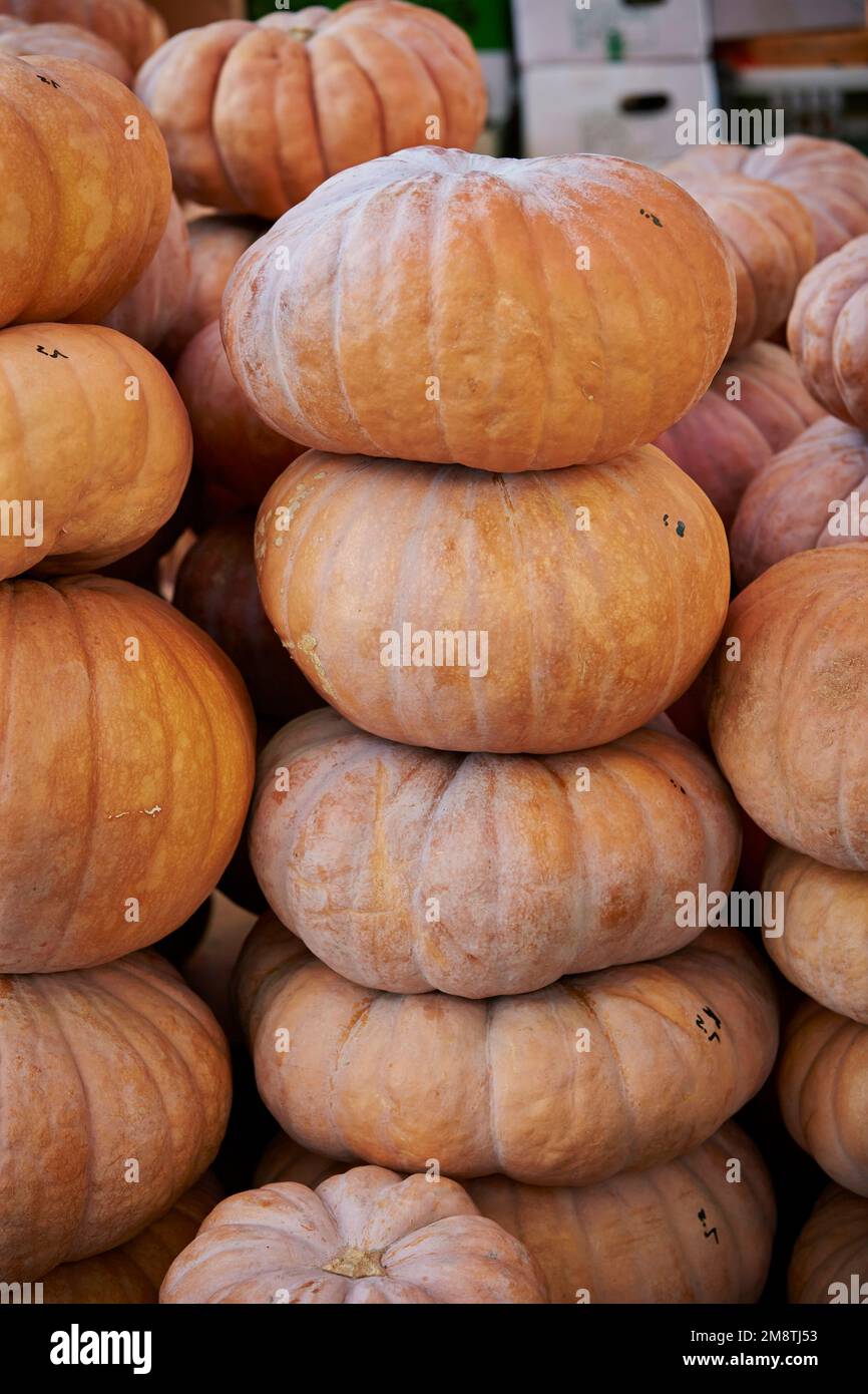 Pumpkins on display in a traditional market Stock Photo - Alamy