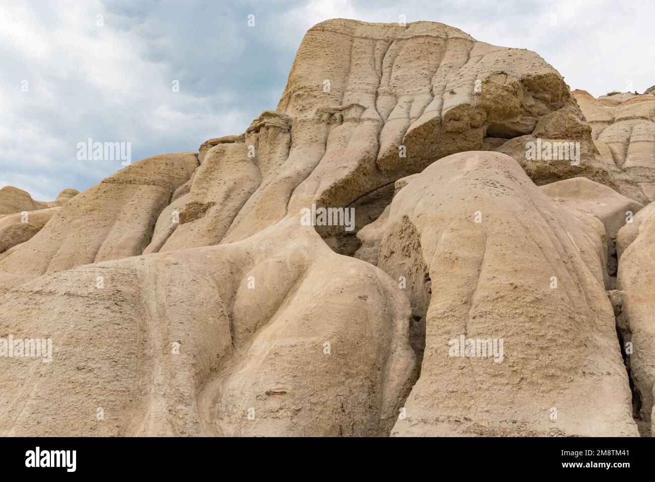 A large chunk of the Alberta Badlands here looks like a rock mastodon ...