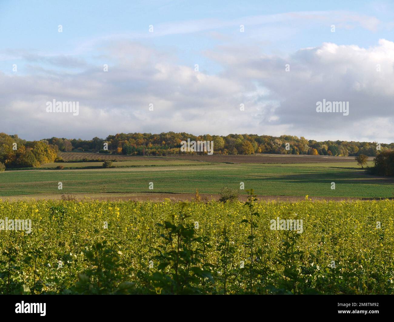 Surface agricole hi-res stock photography and images - Alamy
