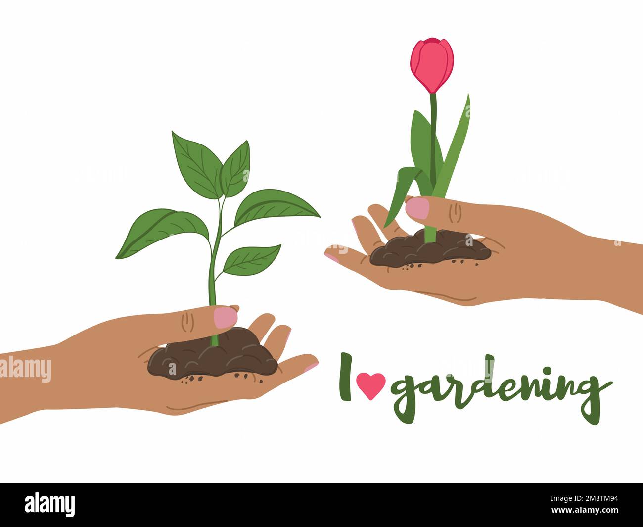 I love gardening card. Female hands give plant shoot and flower to each ...