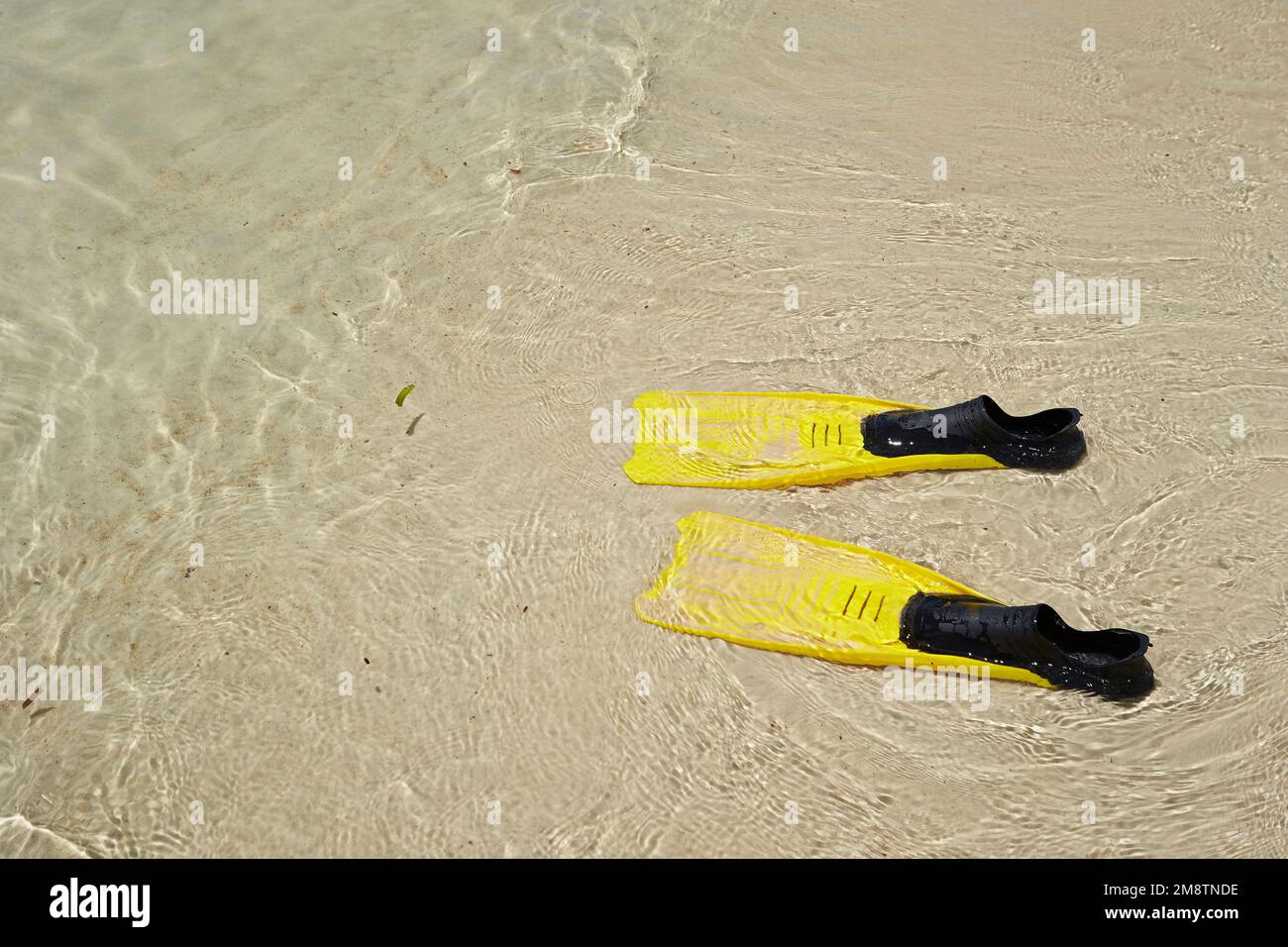yellow flippers on the beach Stock Photo - Alamy