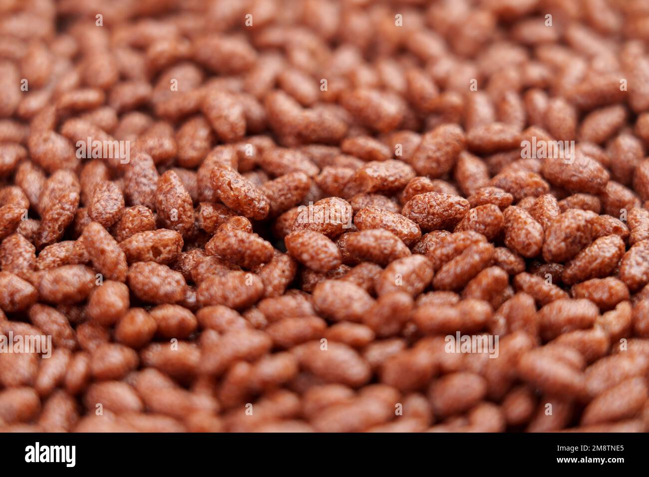 Crispy chocolate rice cereal breakfast close-up Stock Photo - Alamy