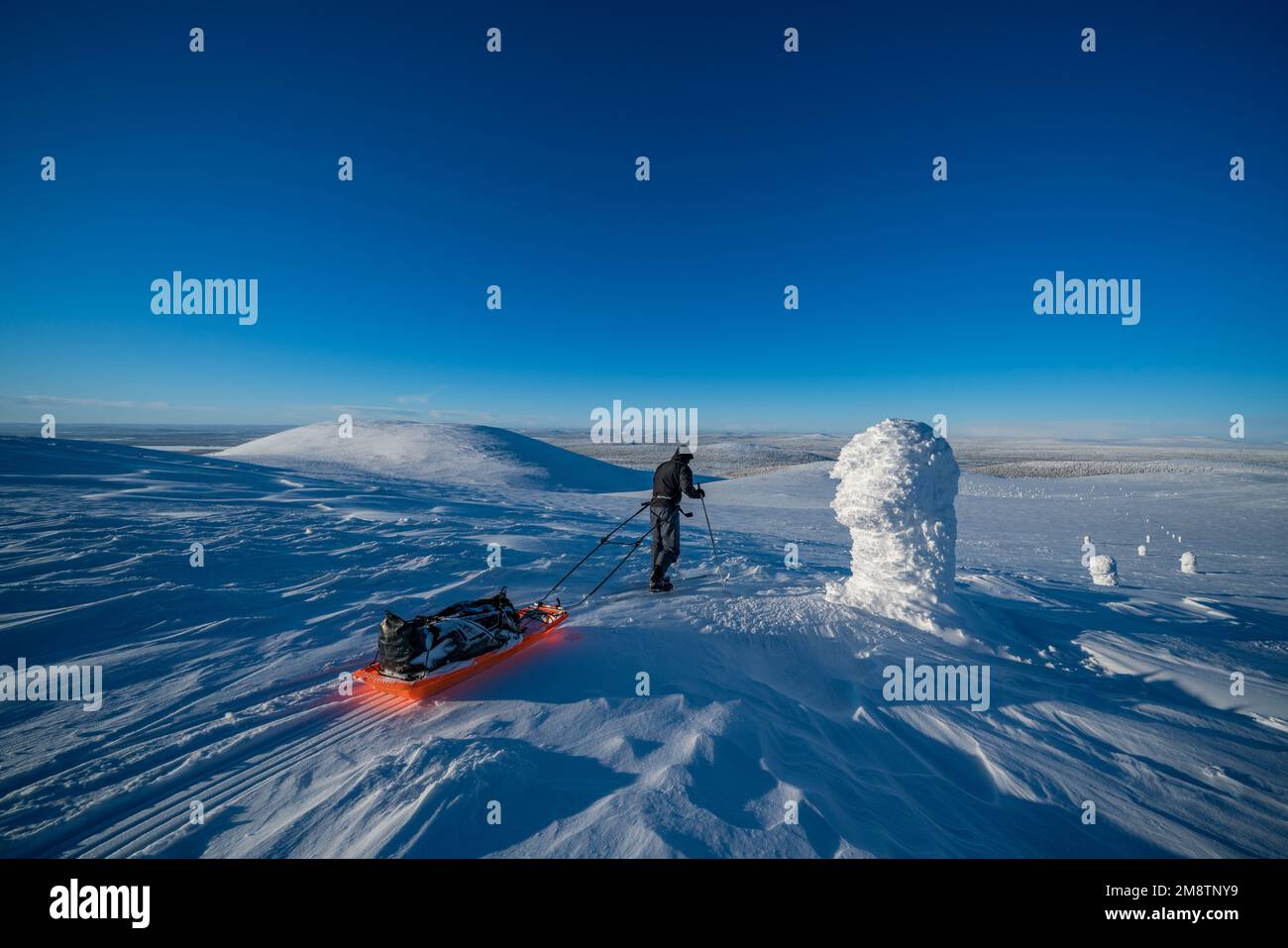 Ski touring at Pallas-Yllästunturi National Park, Muonio, Lapland ...
