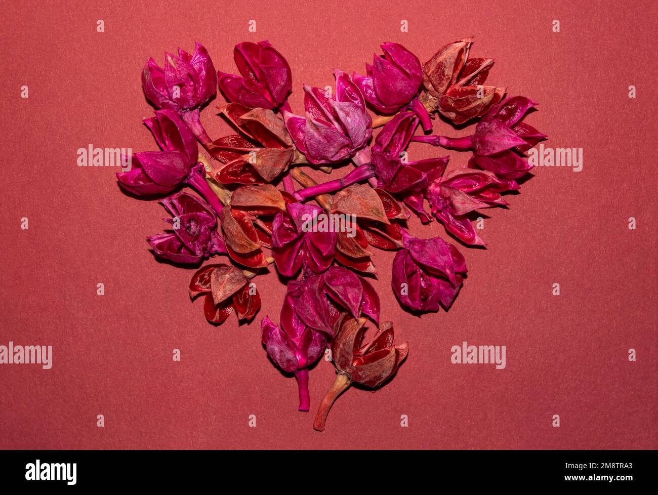 Heart shaped flowers Stock Photo - Alamy