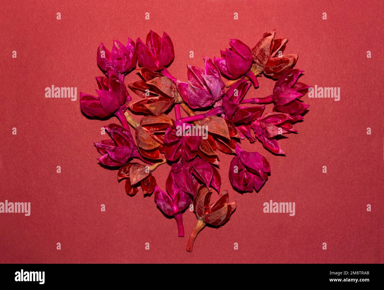 Heart shaped flowers Stock Photo - Alamy