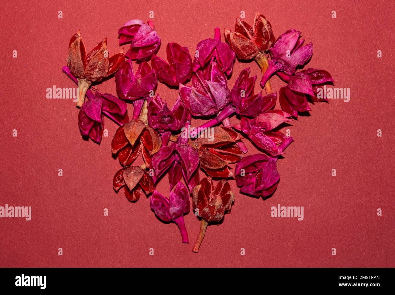 Heart shaped flowers Stock Photo - Alamy