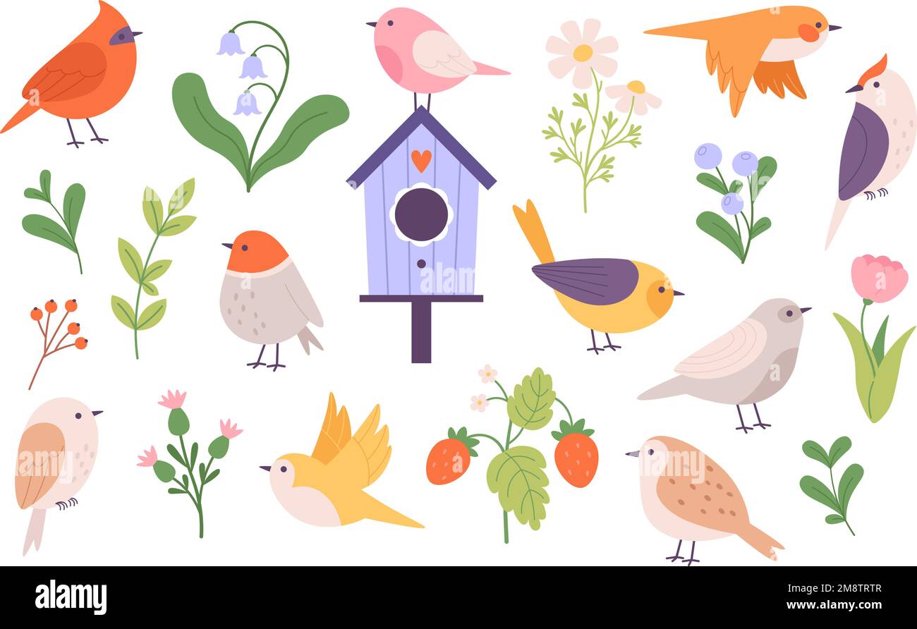 Cute cartoon flat birds clipart. Bird and birdhouse, leaves, flowers ...