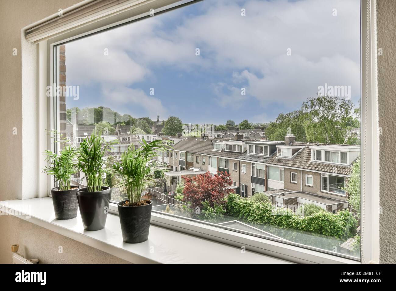 some plants on a window sing the sky is blue and there are buildings in ...