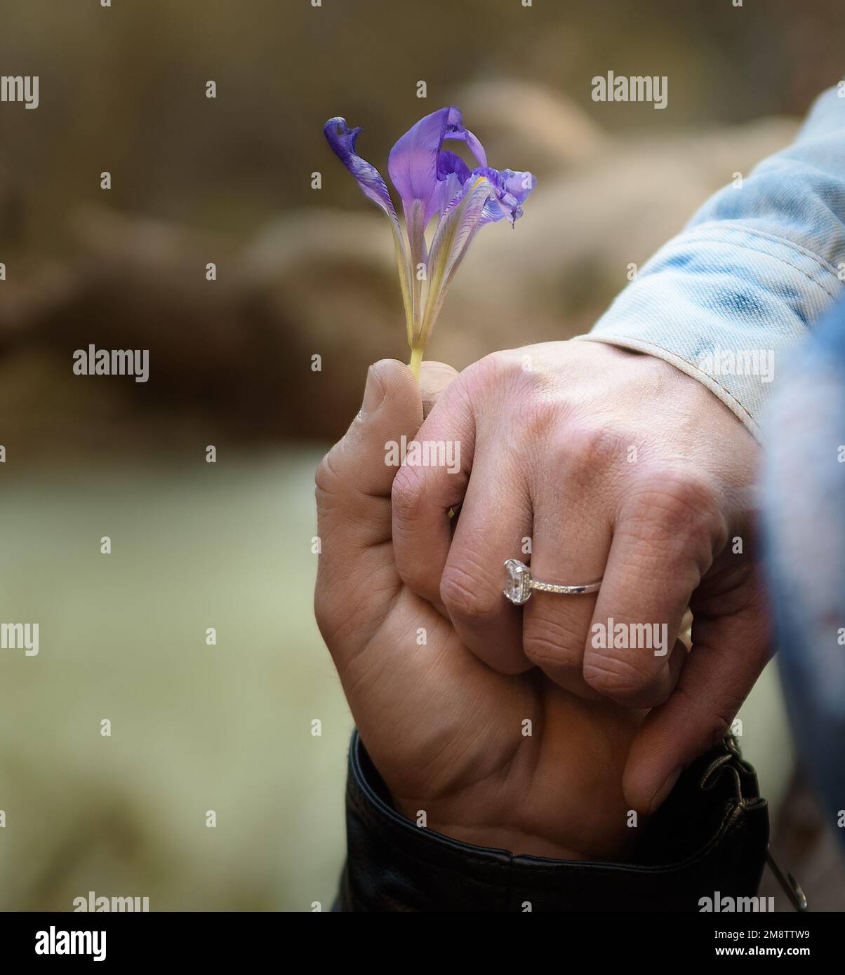 She said yes hi-res stock photography and images - Alamy