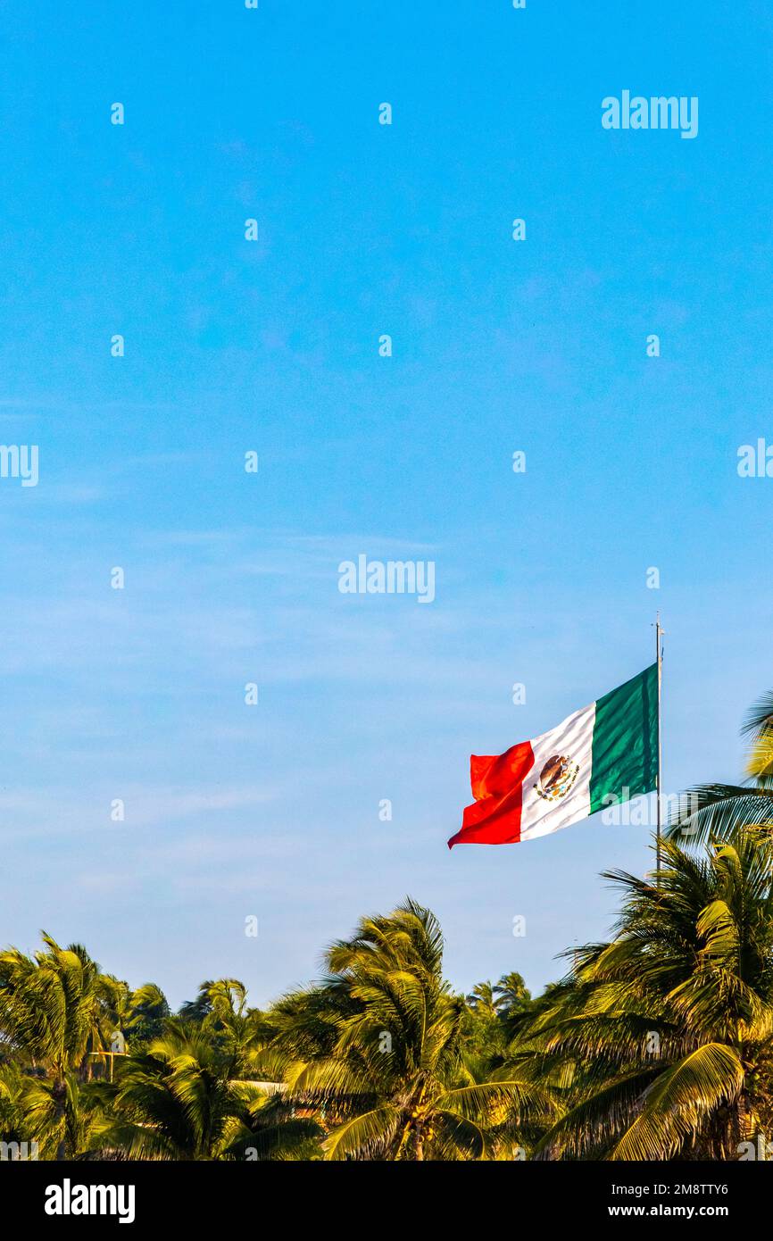 Mexican green white red flag with palm trees and blue sky and clouds in ...