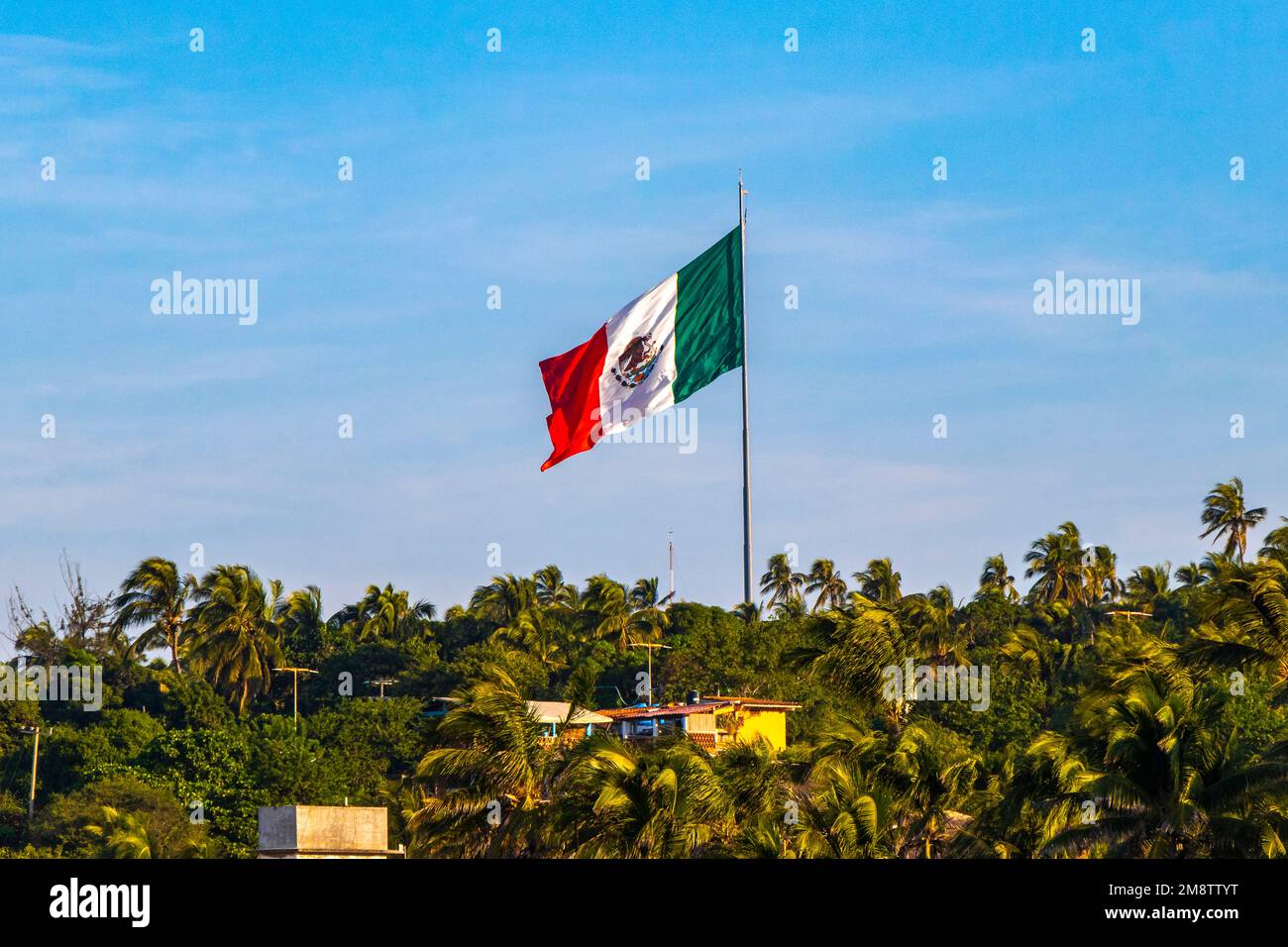 Mexican green white red flag with palm trees and blue sky and clouds in ...