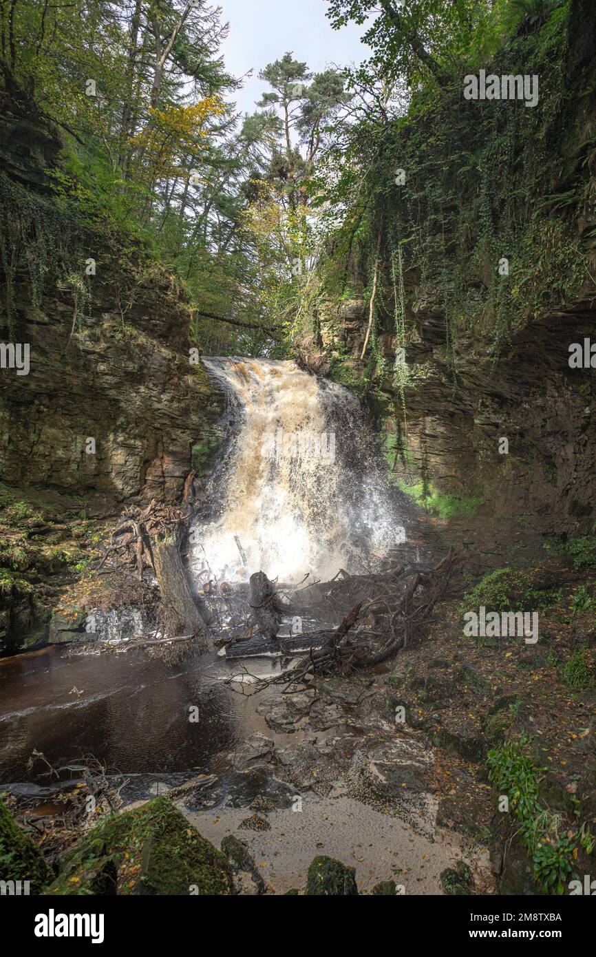 Lovely scenic hike to an interesting waterfall hi-res stock photography ...