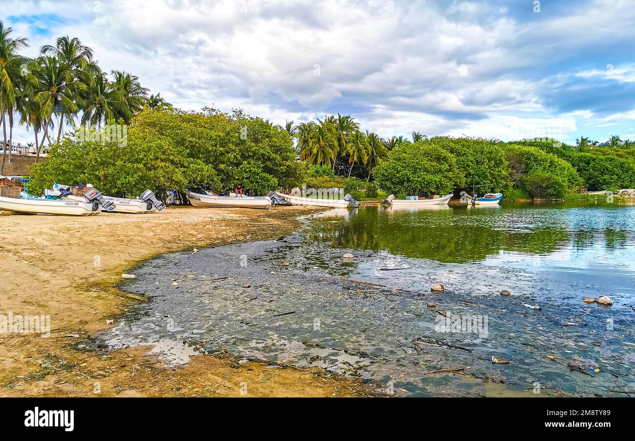 Dirty green polluted and garbage river in Zicatela Puerto Escondido ...