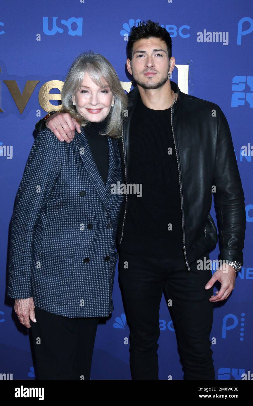 LOS ANGELES - JAN 15: Deidre Hall, Robert Scott Wilson at NBCUniversal ...