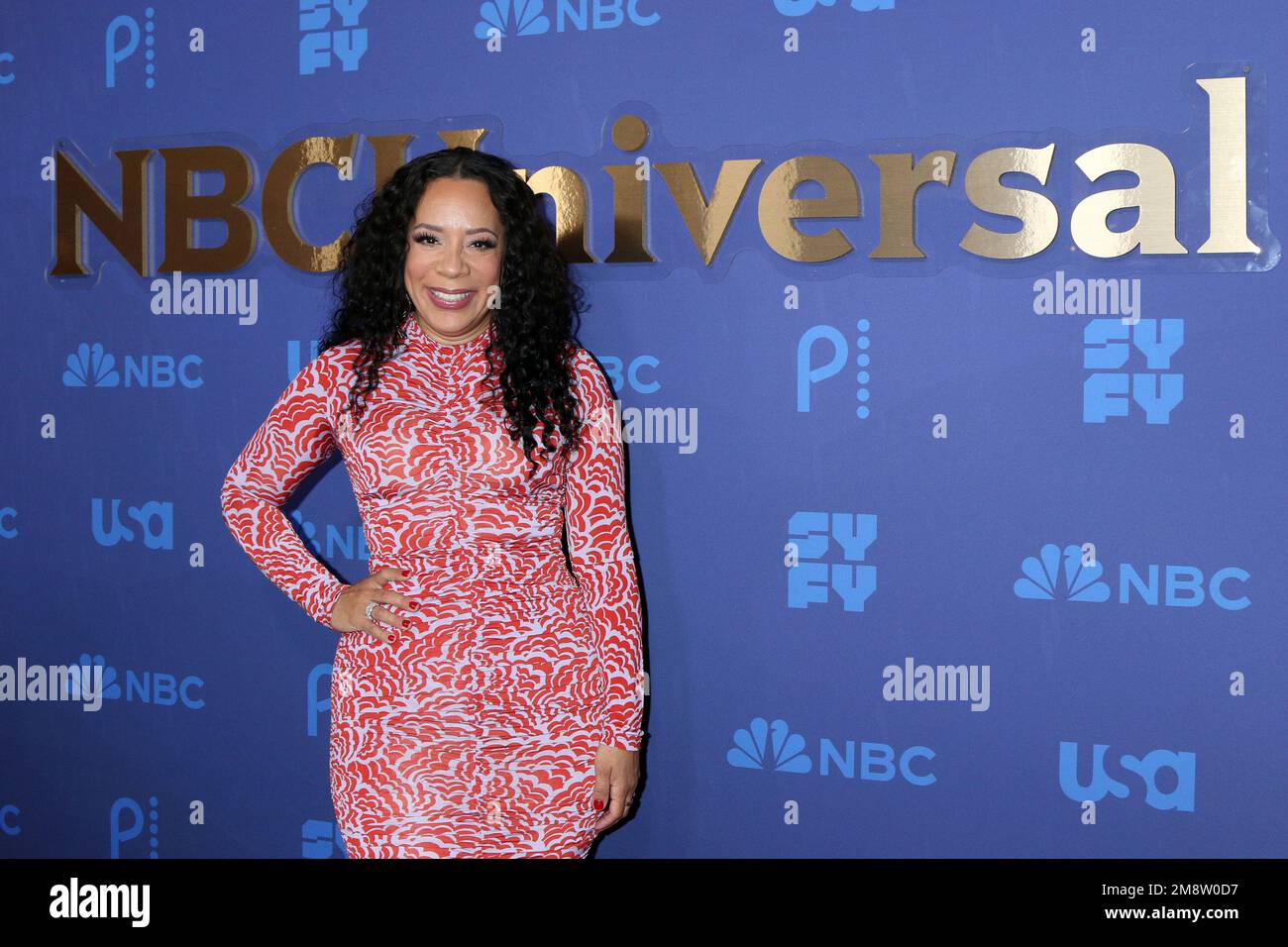 LOS ANGELES - JAN 15: Selenis Leyva at NBCUniversal Press Tour Red Carpet at the Langham ...