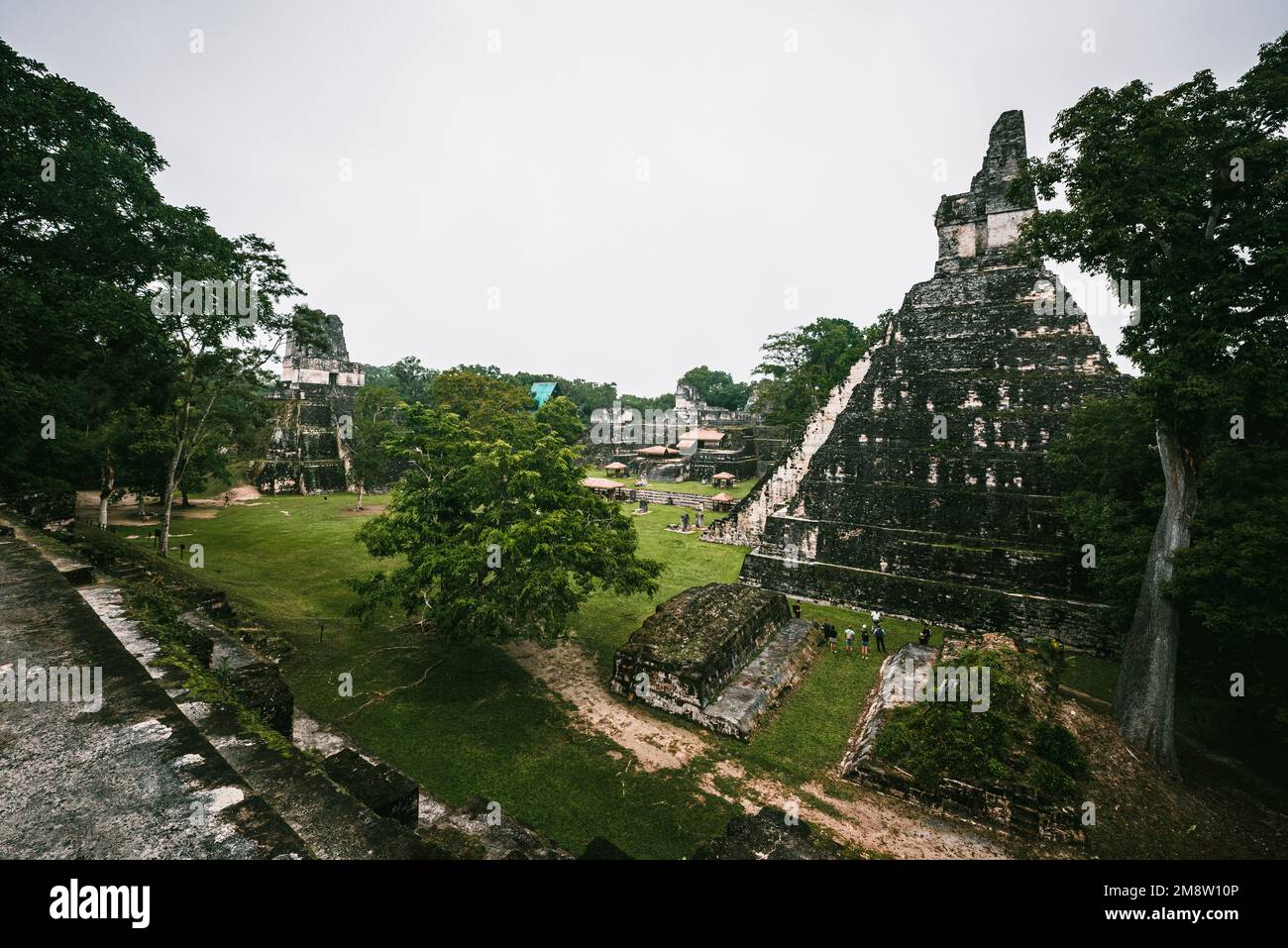 Central Plaza Of Tikal Mayan City Stock Photo Alamy