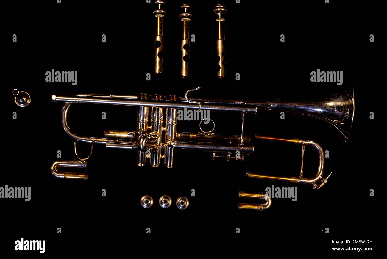 Brass instrument yellow trumpet hi-res stock photography and images - Alamy
