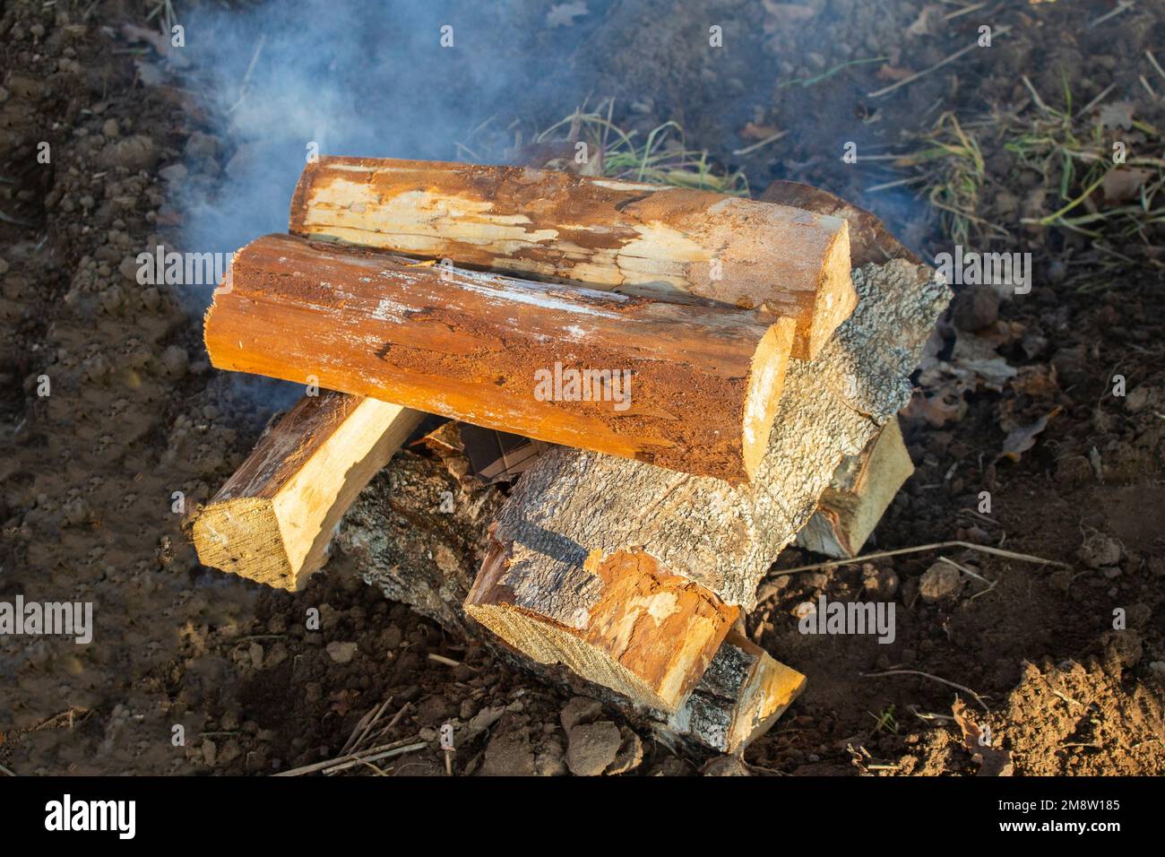 Burning bonfire with logs and white smoke Stock Photo - Alamy