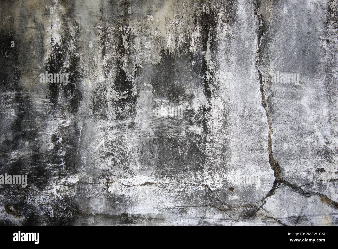 The gray grunge wall with cracks for backgrounds and overlays Stock ...