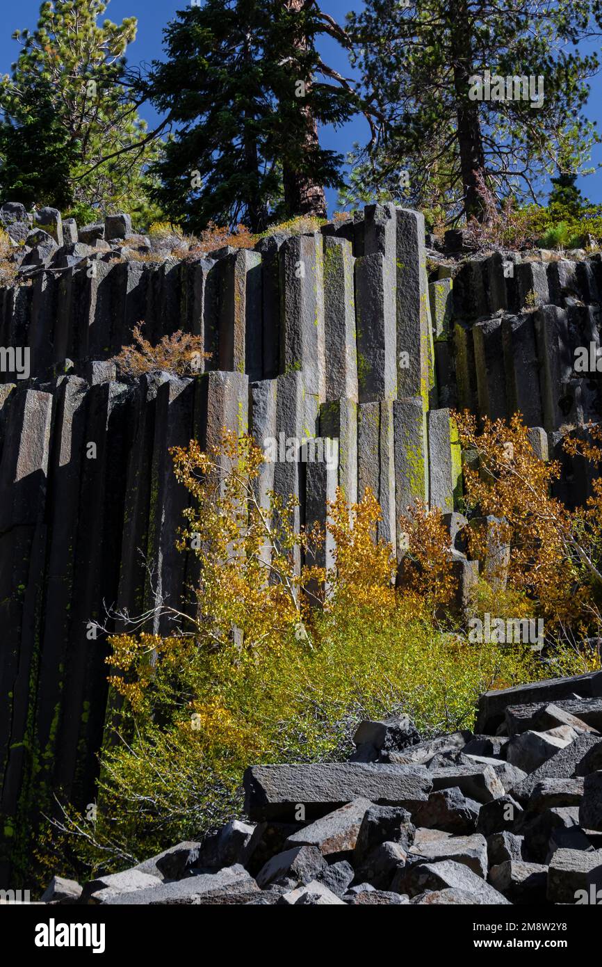 Basaltic columns created by cooling lava in Devils Postpile National ...