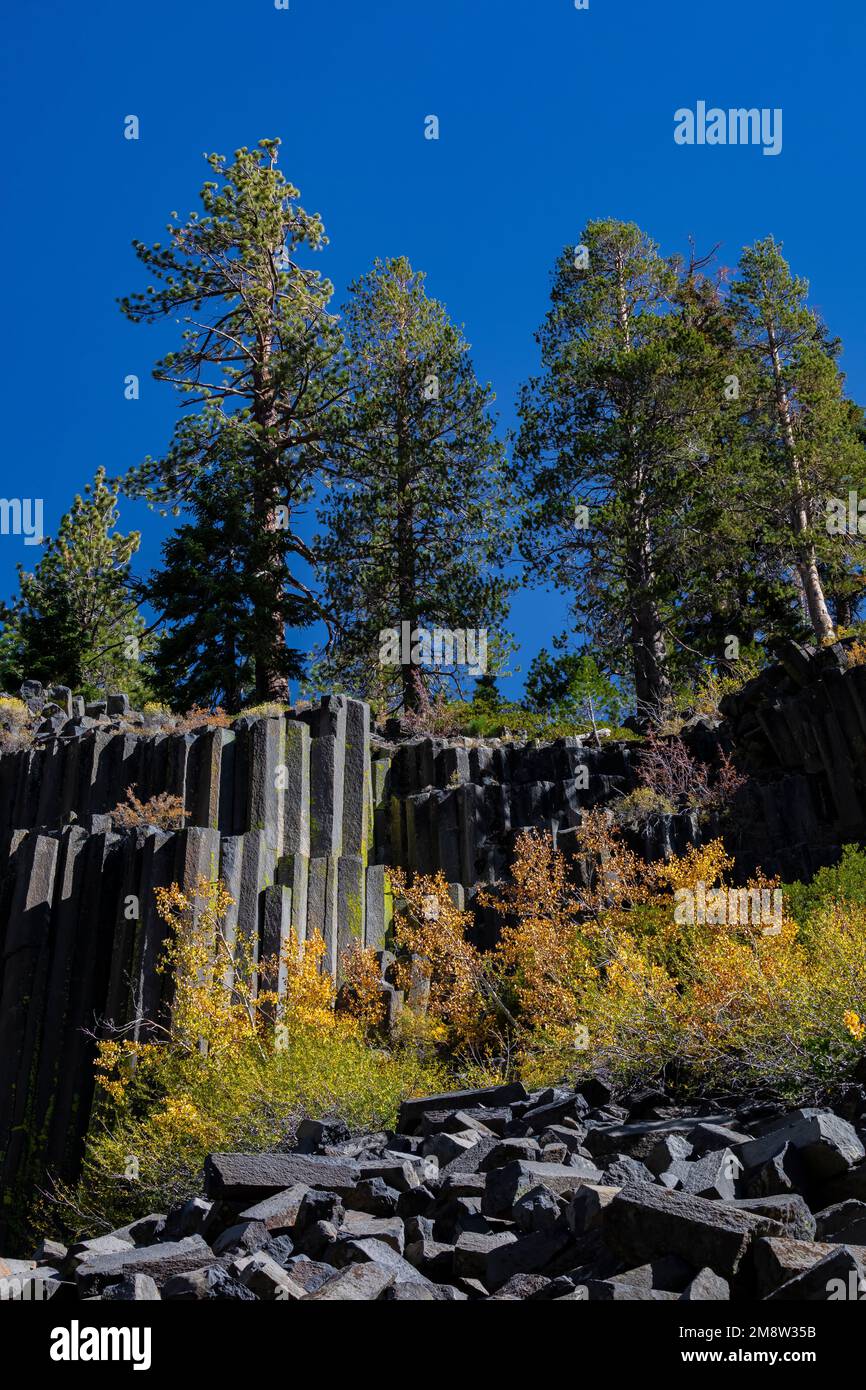 Basaltic columns created by cooling lava in Devils Postpile National ...