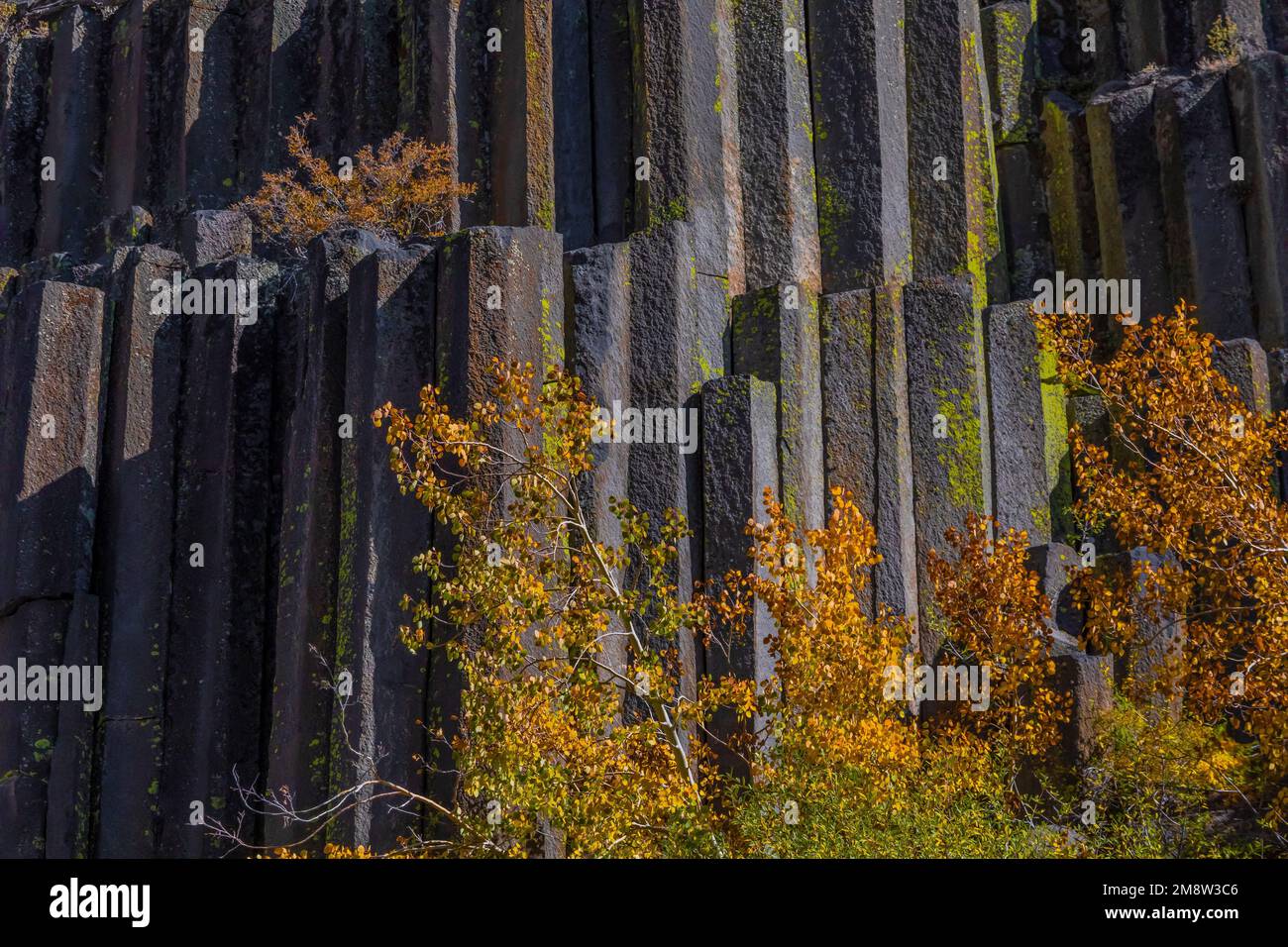 Basaltic columns created by cooling lava in Devils Postpile National ...