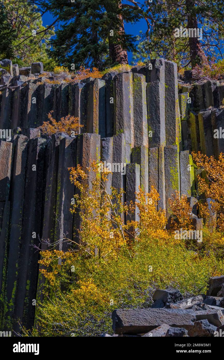 Basaltic columns created by cooling lava in Devils Postpile National ...