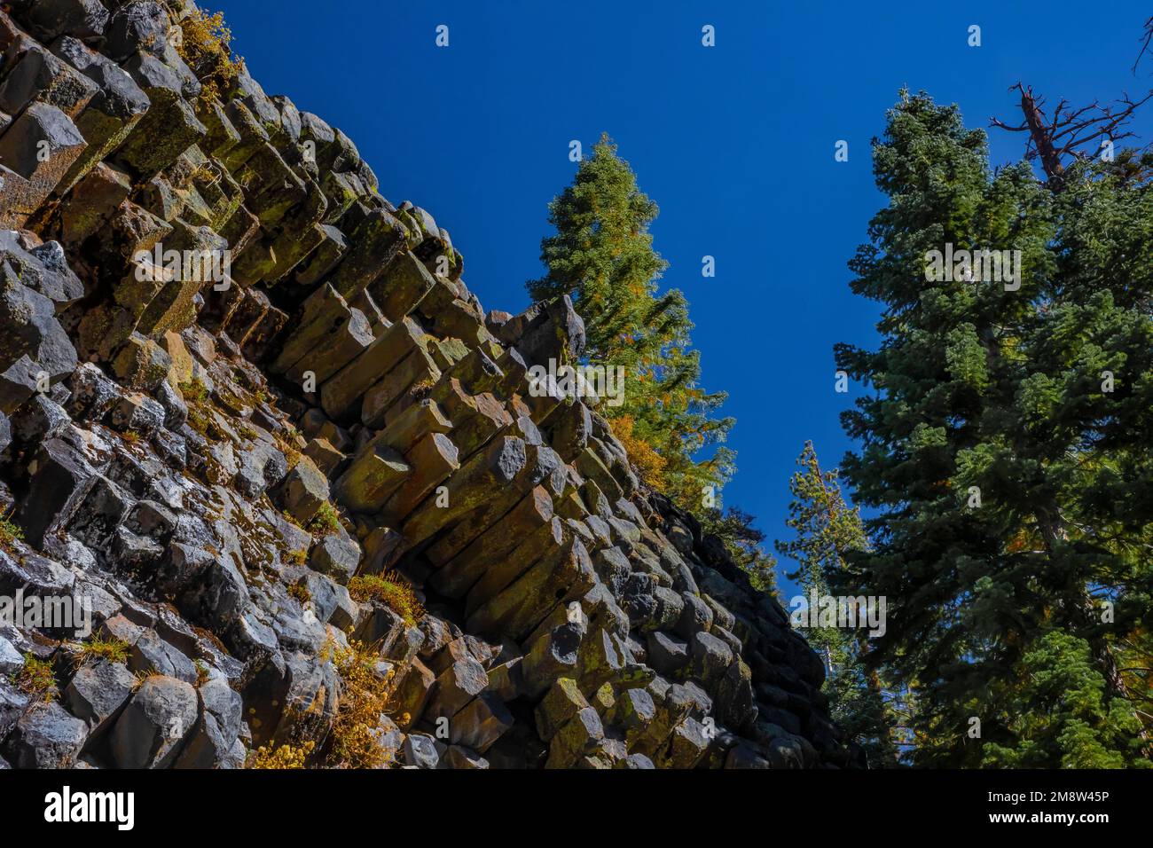 Basaltic columns created by cooling lava in Devils Postpile National ...