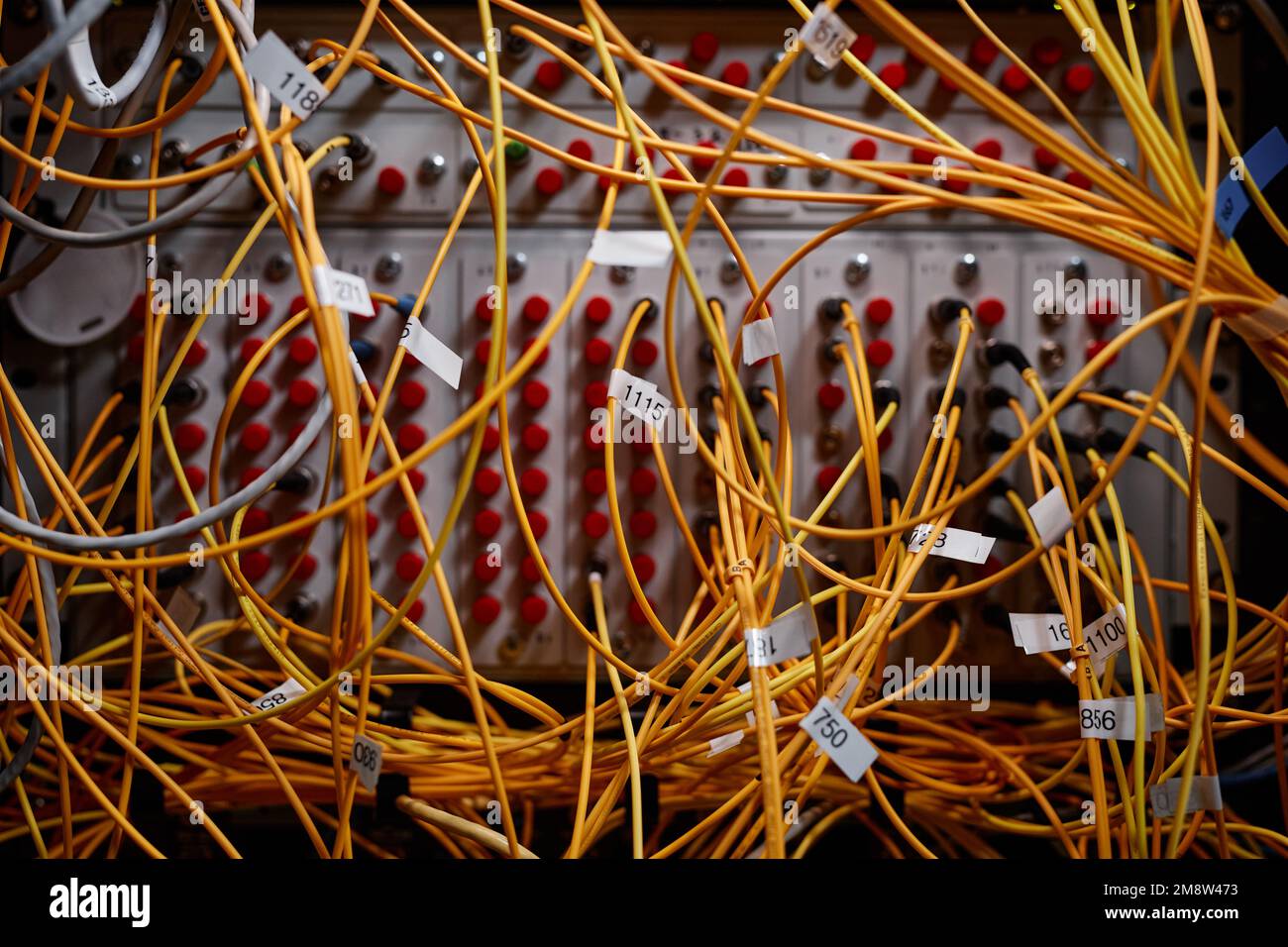 Close up background image of server cabinet with yellow internet cables ...
