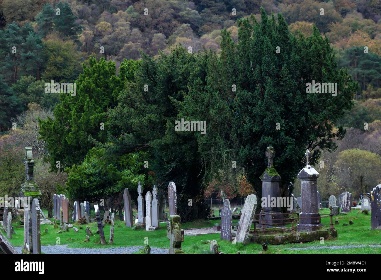 Medieval stone cross of the Glendalough monastery in the Wicklow ...