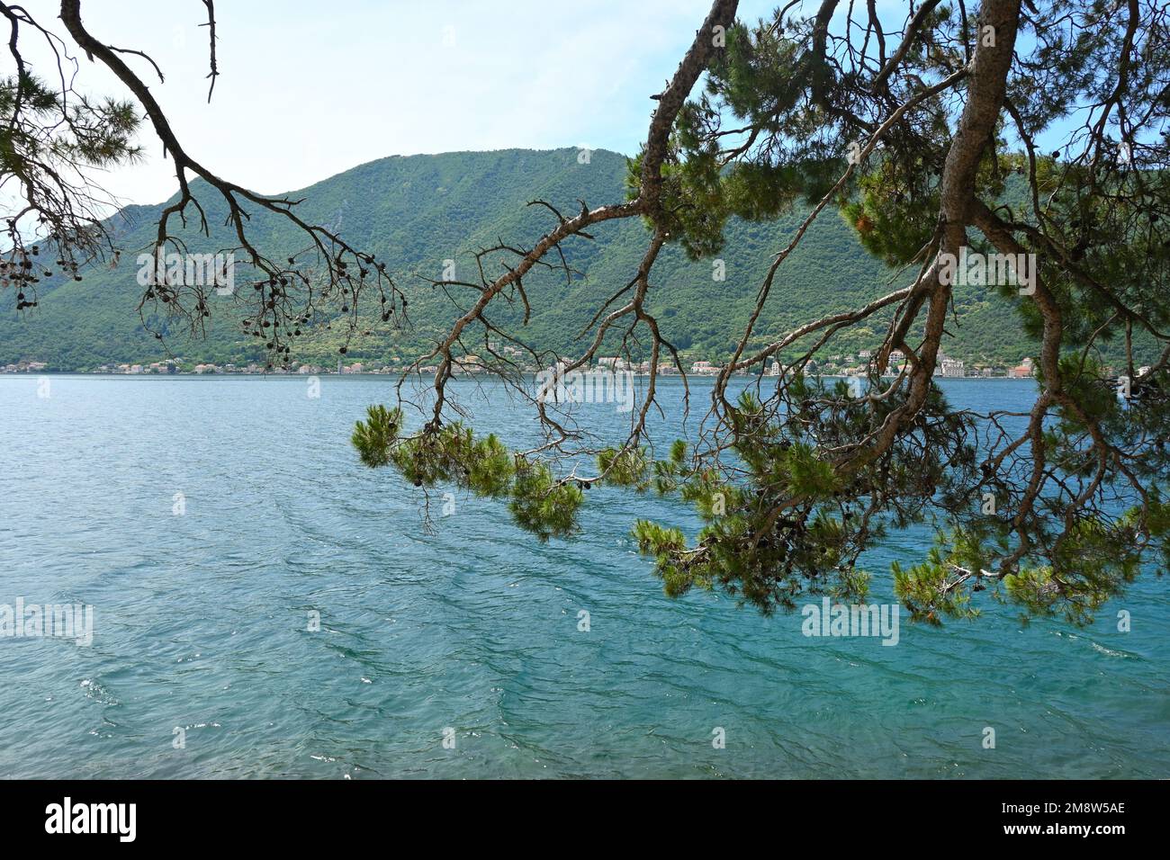 The picturesque Bay of Kotor seen from Perast, a port city in ...