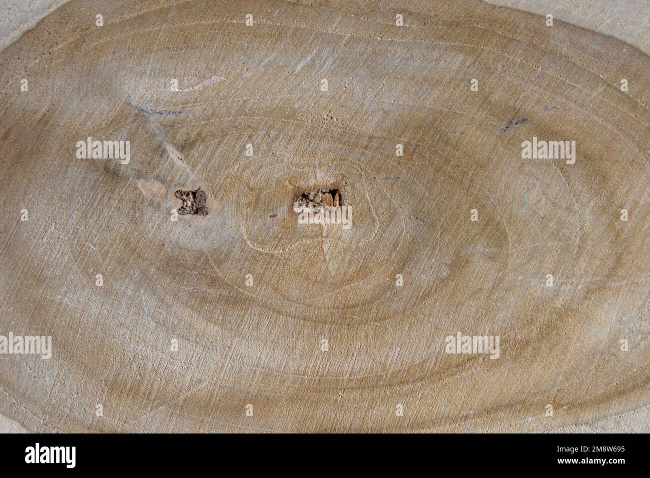 Texture saw cut tree trunk. hard transitions, saw cuts of knots. close ...