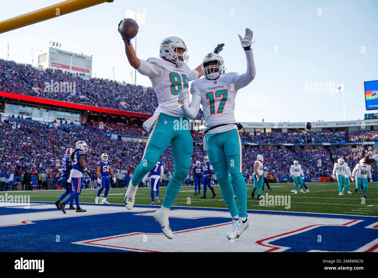 Miami Dolphins tight end Mike Gesicki (88) celebrates with wide ...
