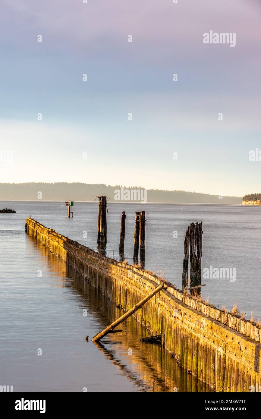 Late afternoon sun lights up the old, worn rements of a pier along the ...