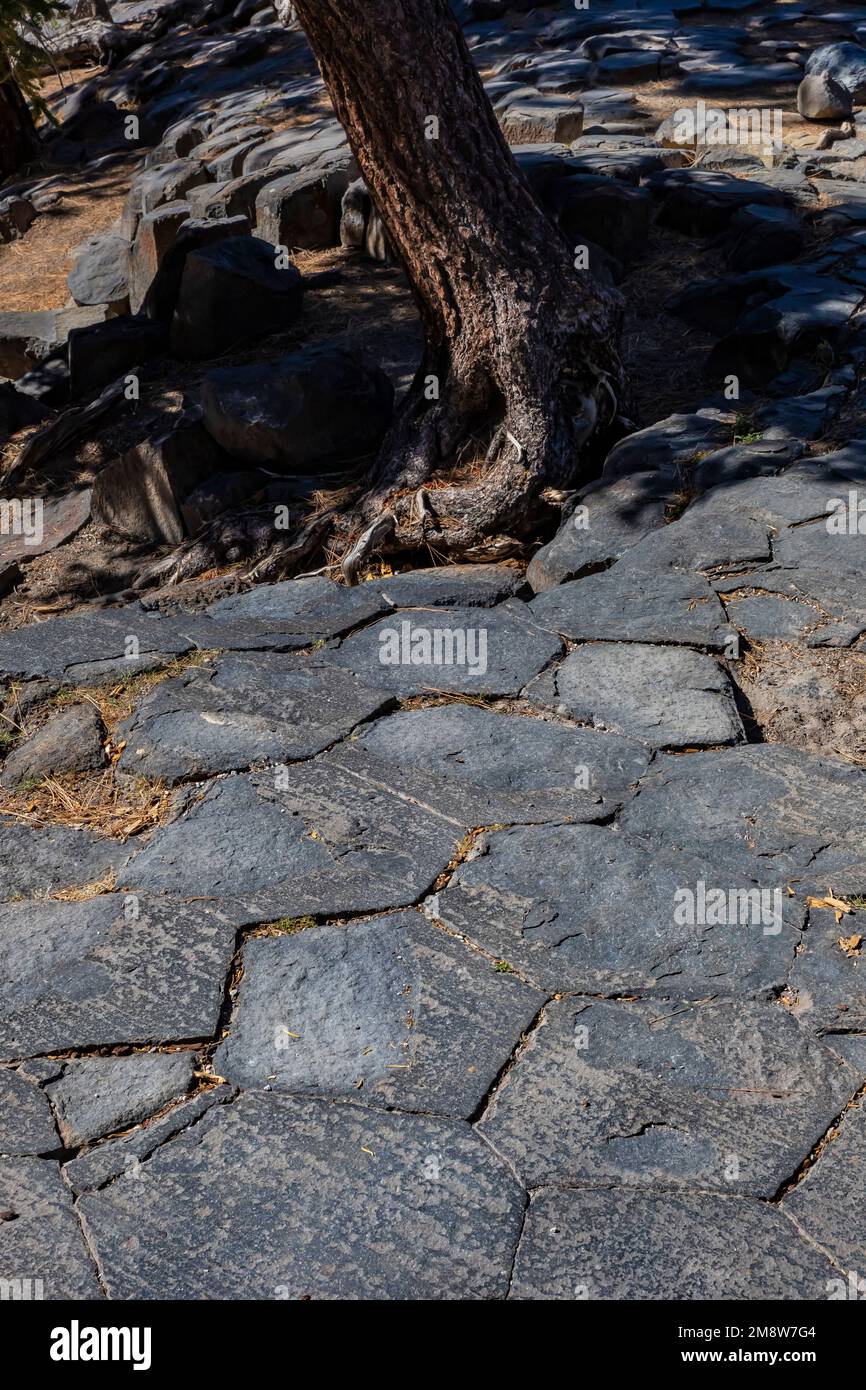 Basaltic columns created by cooling lava in Devils Postpile National ...