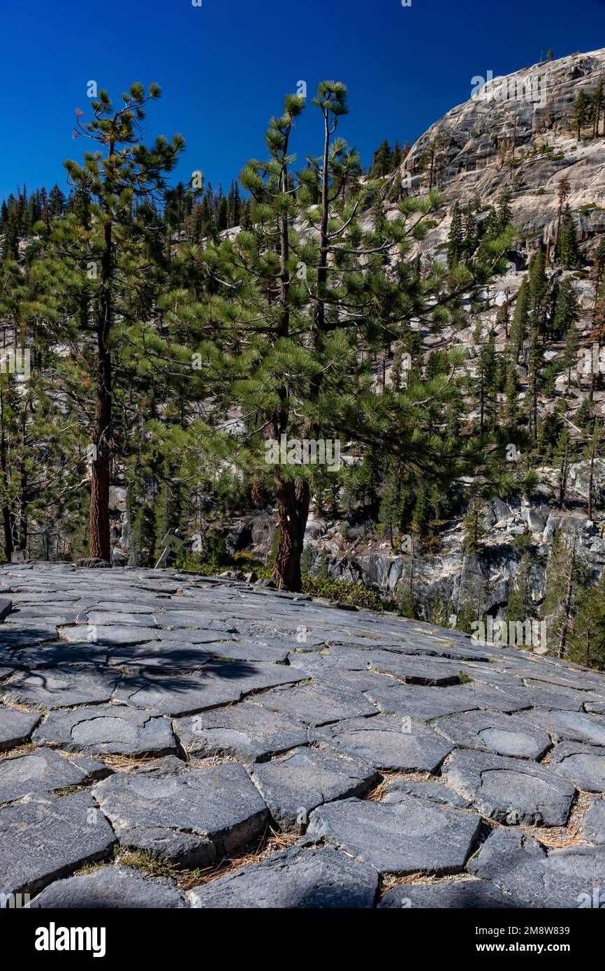 Basaltic columns created by cooling lava in Devils Postpile National ...